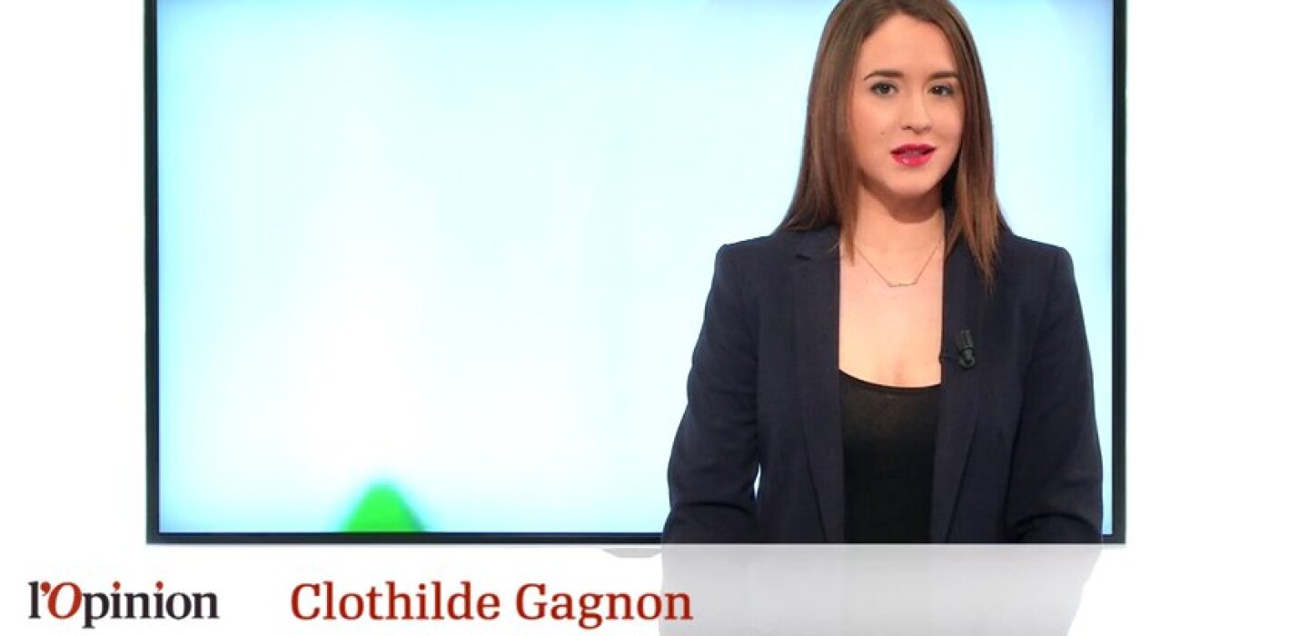 Top : Christophe Barraud Flop : Promogim - l'Opinion