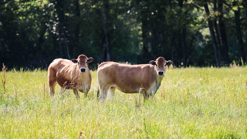 Le groupe Mars annonce un copieux investissement d'un milliard d'euros ...